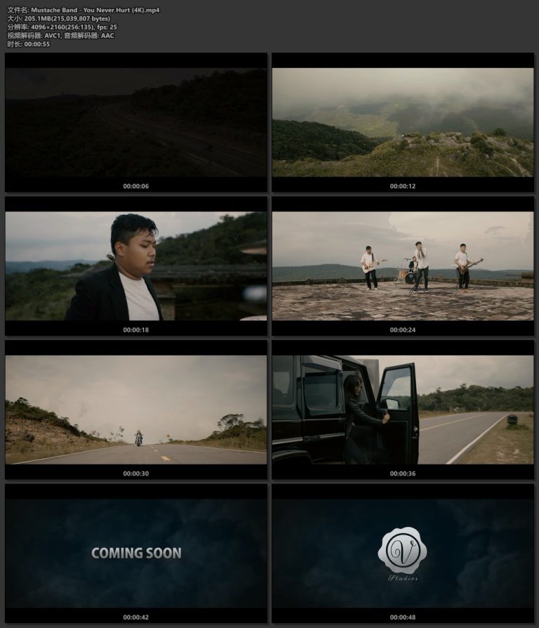 Mustache Band《You Never Hurt》4K 2160P_64高清音乐